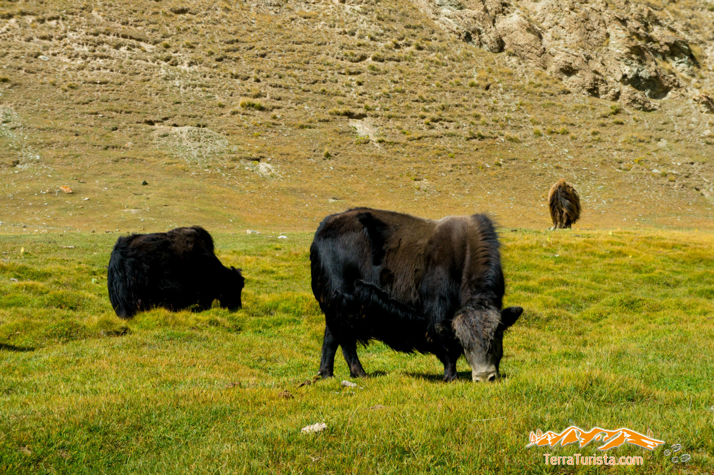 Караван-сарай Таш-Рабат